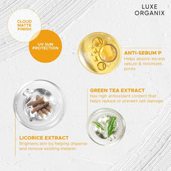 LUXE ORGANIX Zero Shine Invisible Screen Daily Sun Stick SPF 100 17g ...